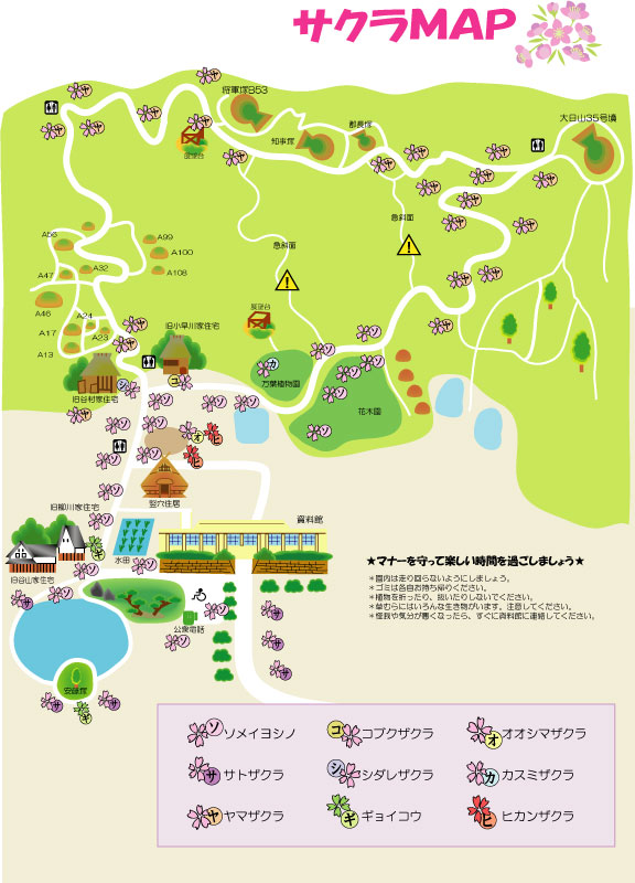 sakura_map.jpg